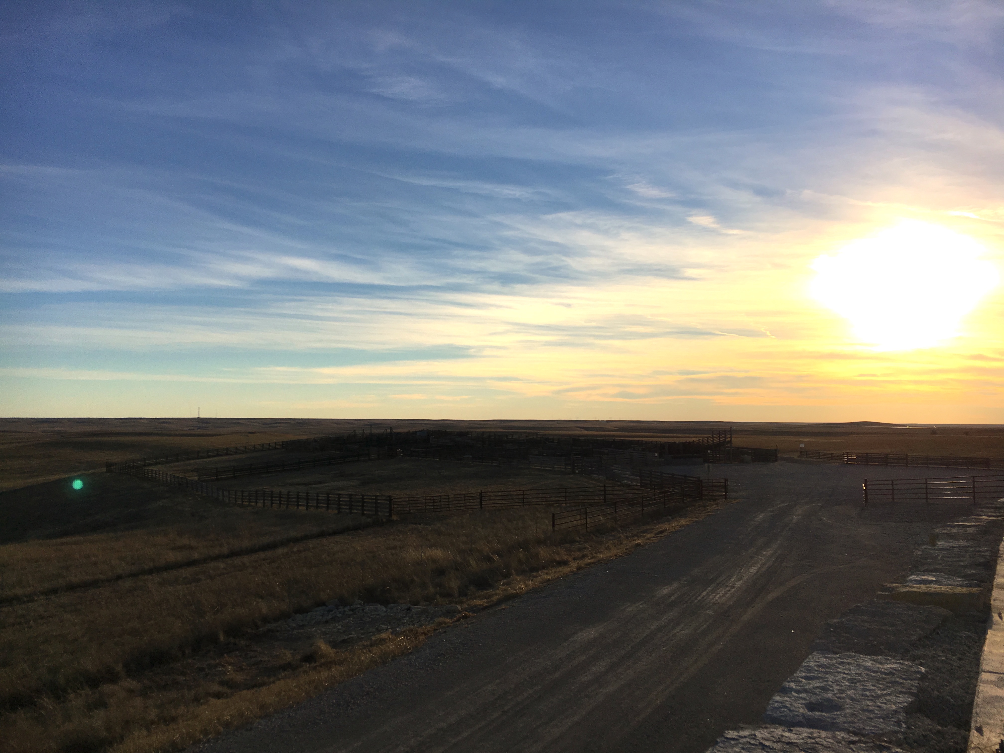 Bazaar Cattle Pens – One Kansas Girl