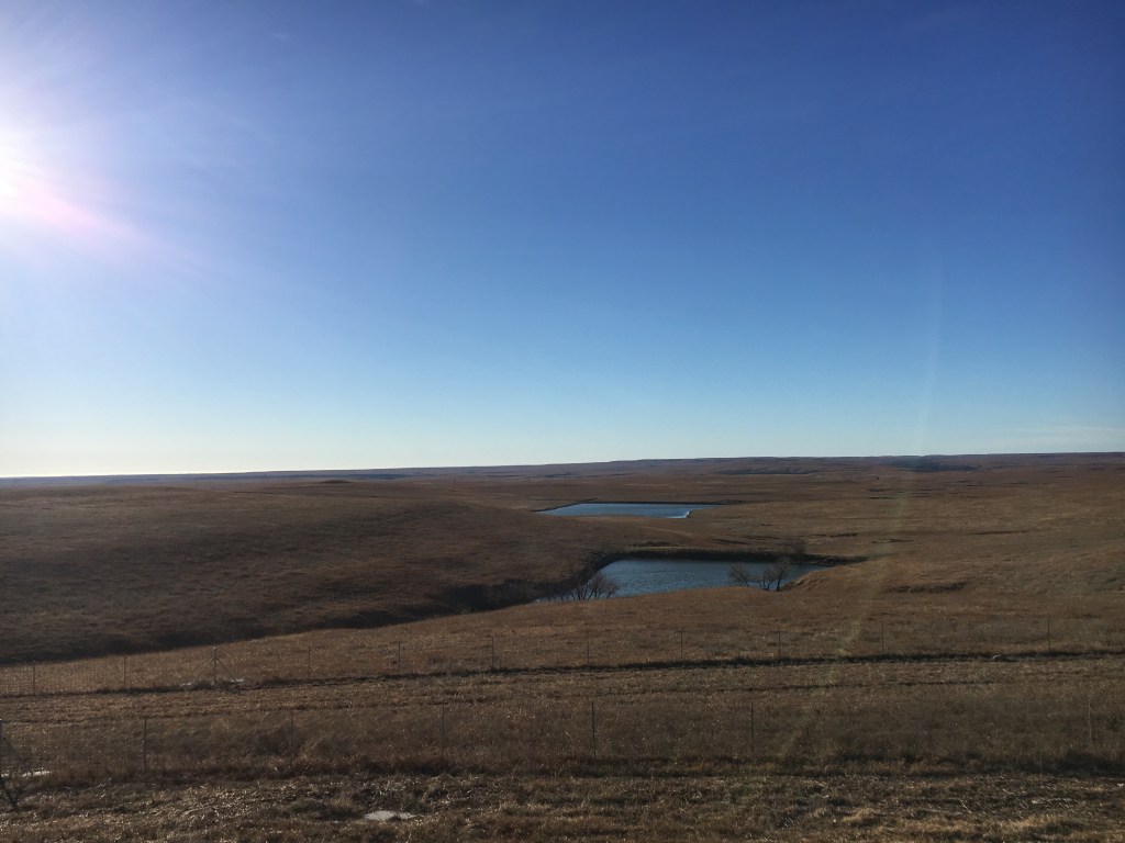 Bazaar Cattle Pens – One Kansas Girl